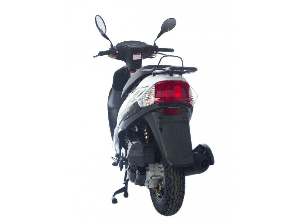 Motorro Digita 50 4T - IMPEXTA | vše kolem amerických vozů